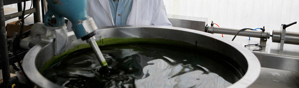 Microalgae Concentrates Can Overcome the Algae Bottleneck to Increase ...