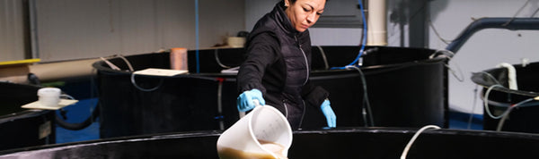 INVE Aquaculture partners with Reed Mariculture for US. and Canada dis