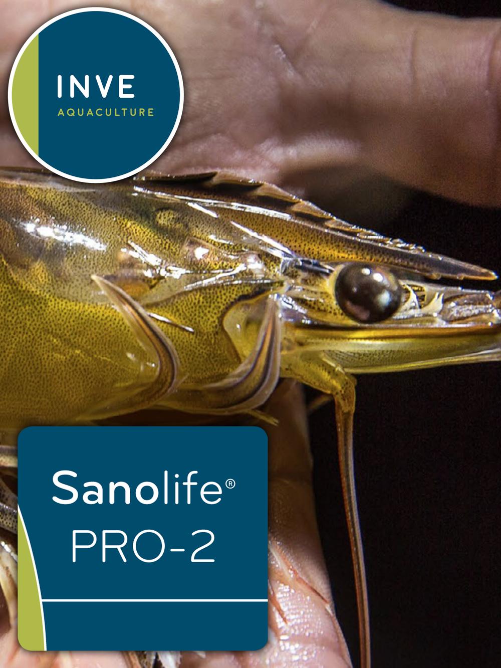 INVE SANOLIFE PRO 2 – Reed Mariculture