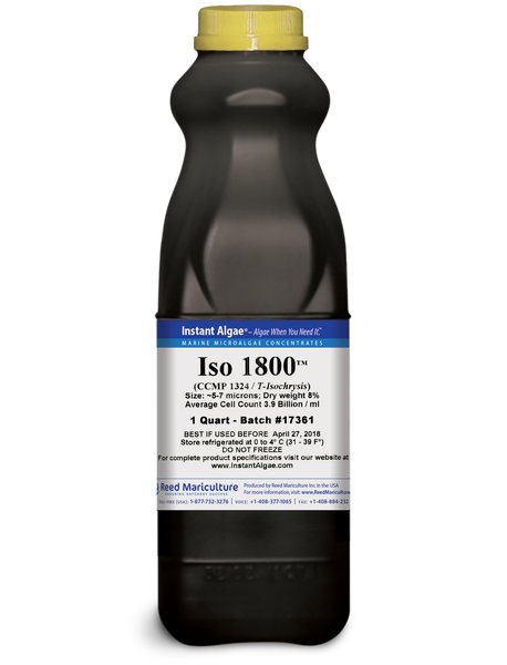 ISO 1800™ - Isochrysis – Reed Mariculture