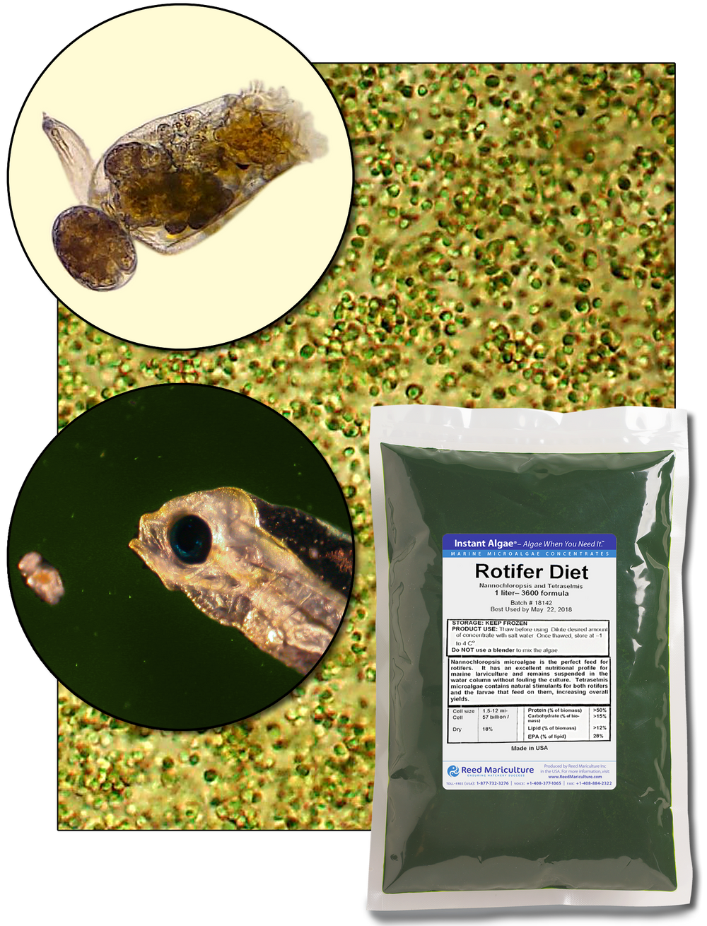 ROTIFER DIET™ 3600 – Reed Mariculture
