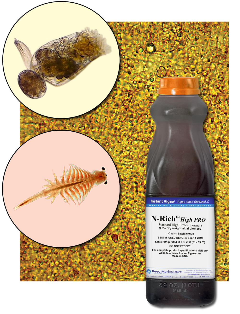 N-RICH® HIGH PRO – Reed Mariculture